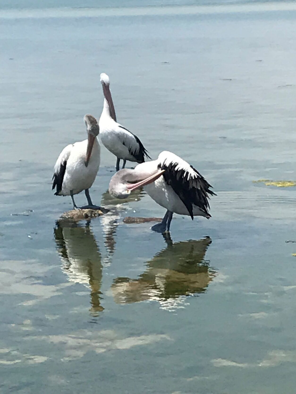 Finding your Rhythm in a changing world – Sarah Collin